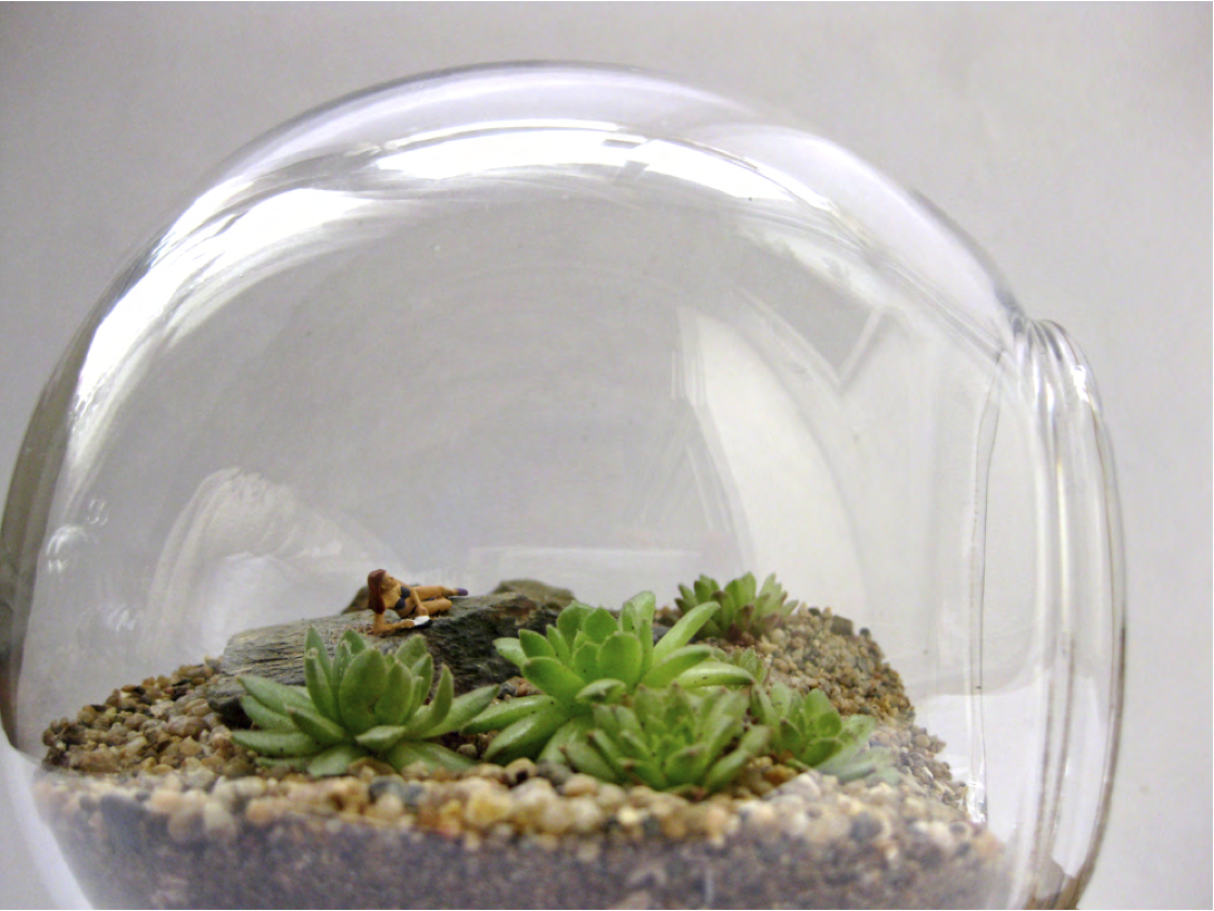Los terrarios de Constanza Rodríguez - Depto51 Blog